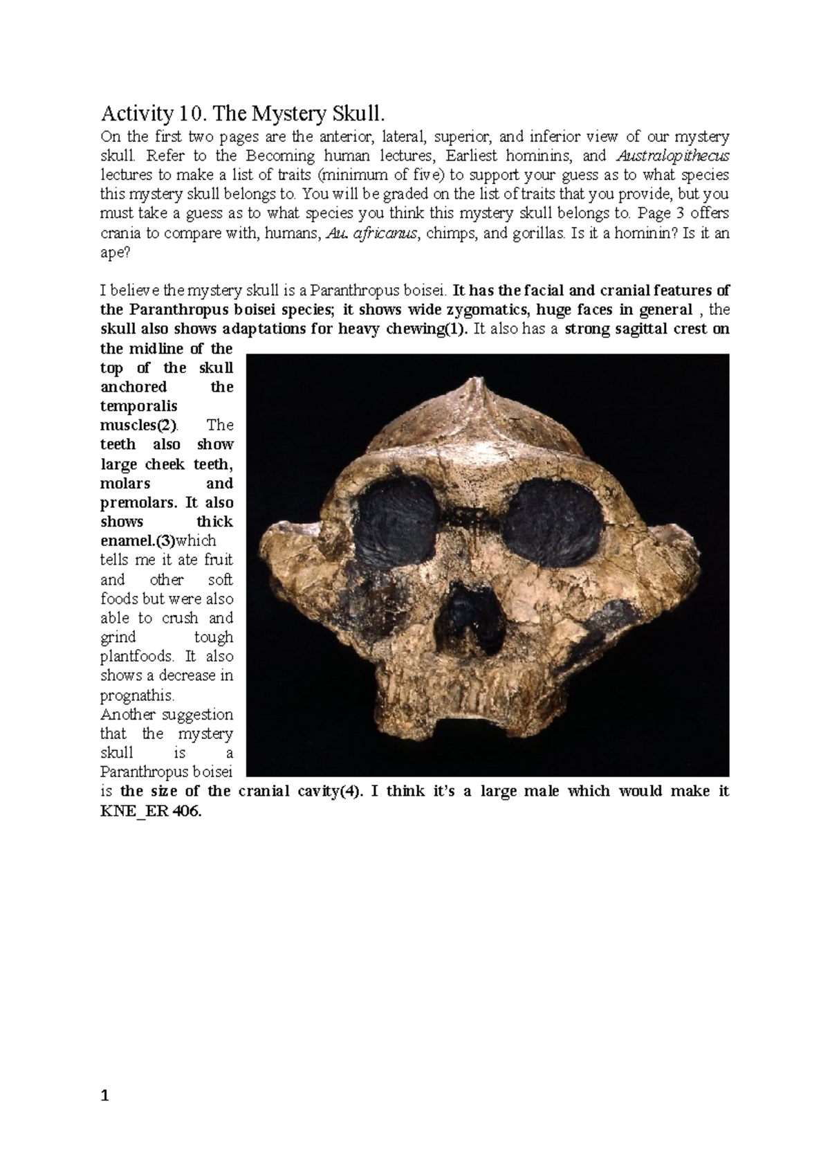 Anth 196 Activity 10 Mystery - Activity 10. The Mystery Skull. On the ...