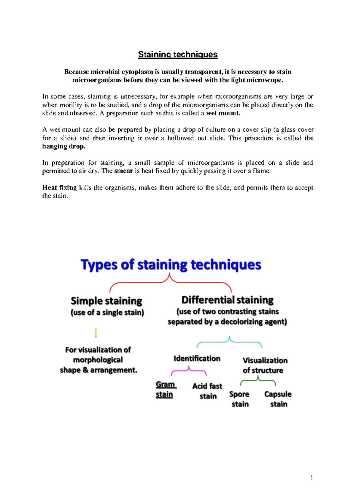 Staining techniques in microbiology - Staining techniques Because ...