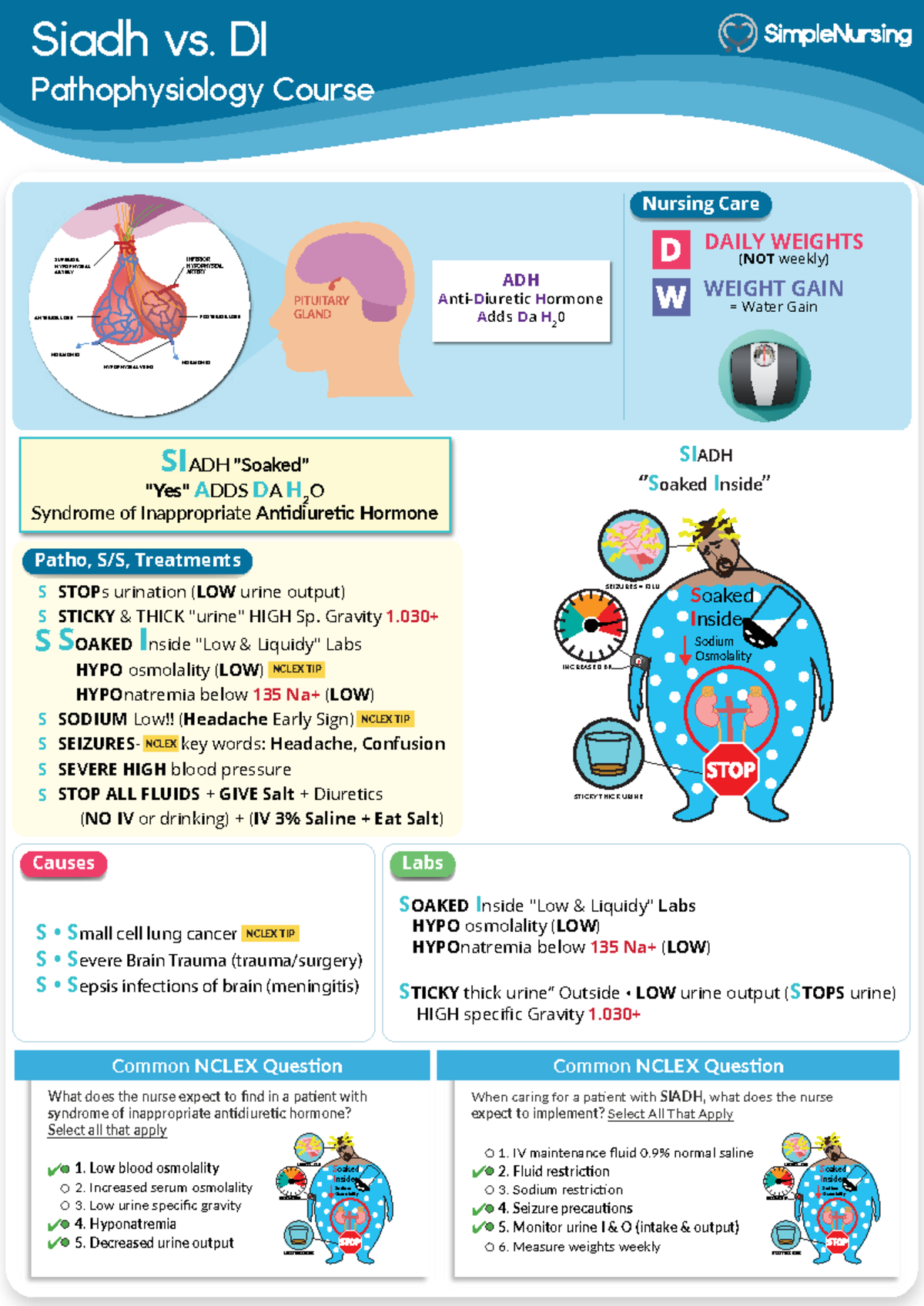 1. Siadh - Patho, Signs, Causes, Treatment - Siadh vs. DI ...