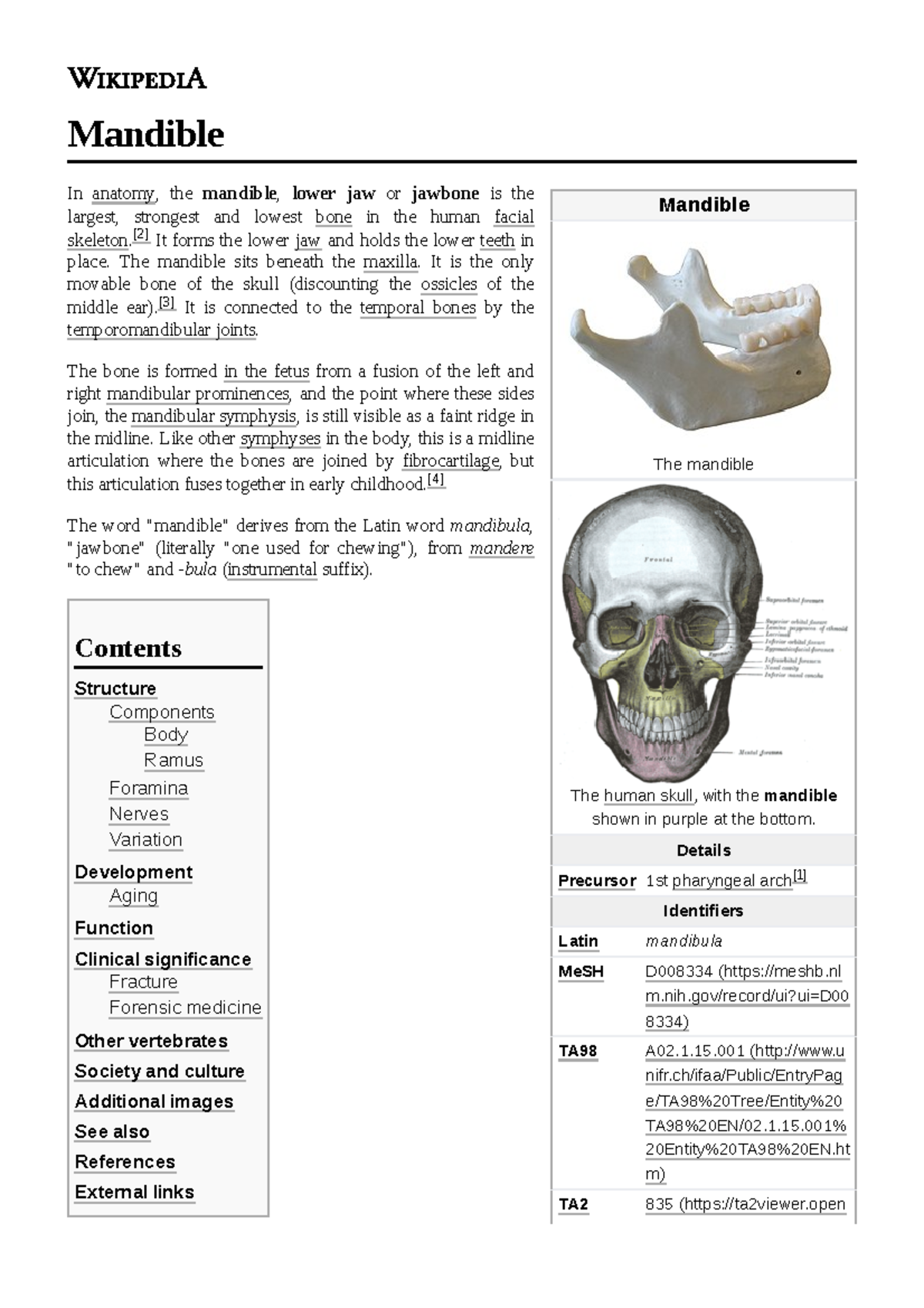 Mandible - nth - Mandible The mandible The human skull, with the ...
