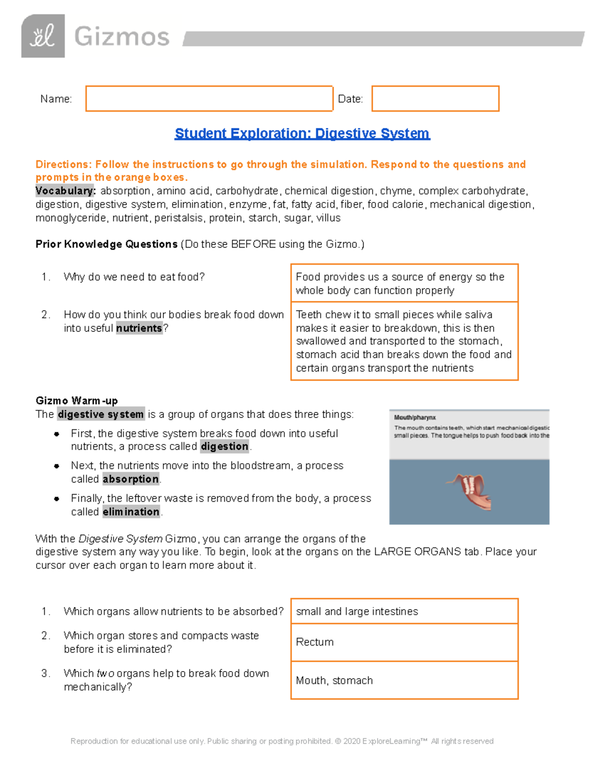 SNC2D1 Digestive System Gizmo - Google Docs - Name: Date: Student ...