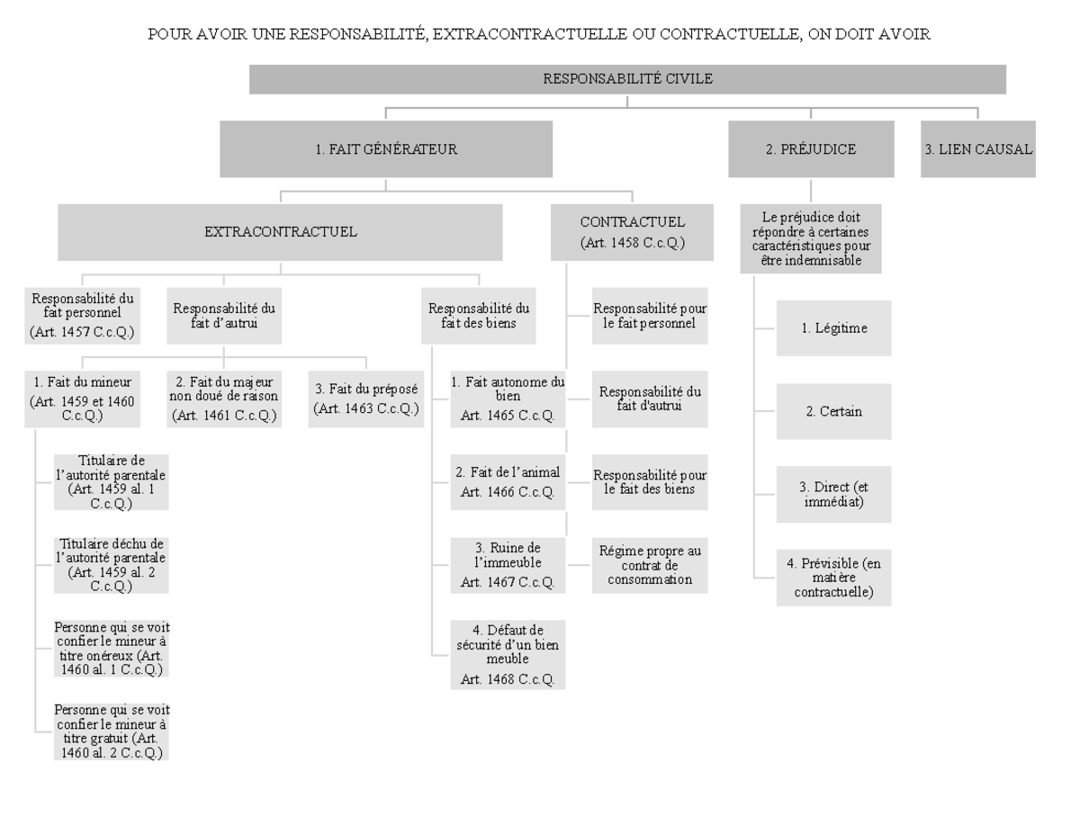 Établir une responsabilité - POUR AVOIR UNE RESPONSABILITÉ ...
