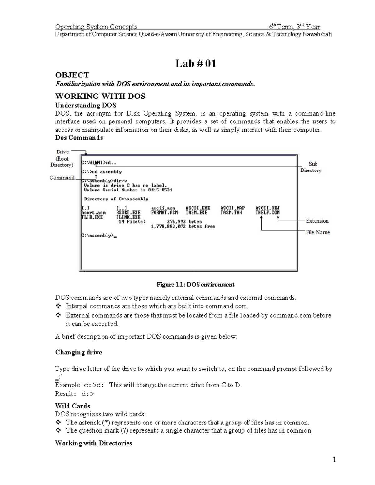 Lab Practicals for Operating system(DOS) - Department of Computer Science Quaid-e-Awam ...