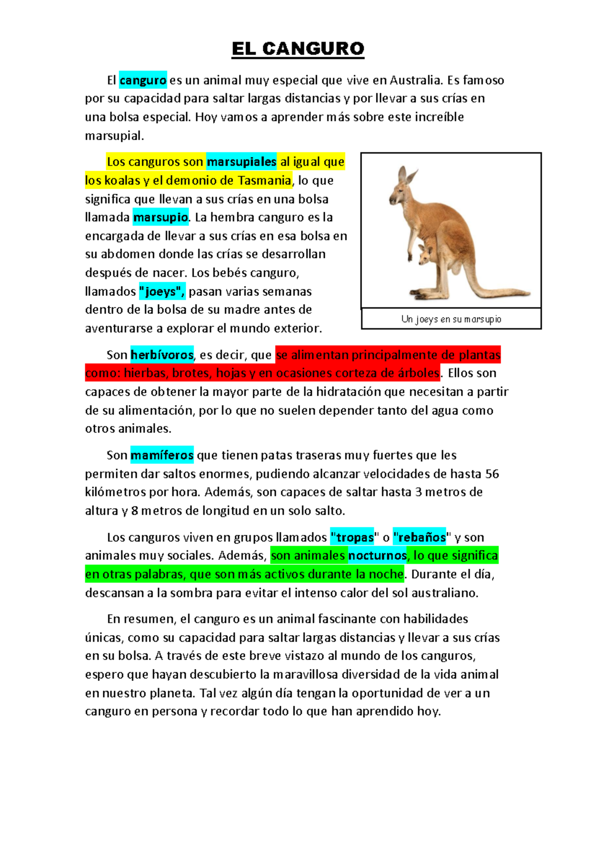 EL Canguro - EL CANGURO El canguro es un animal muy especial que vive ...