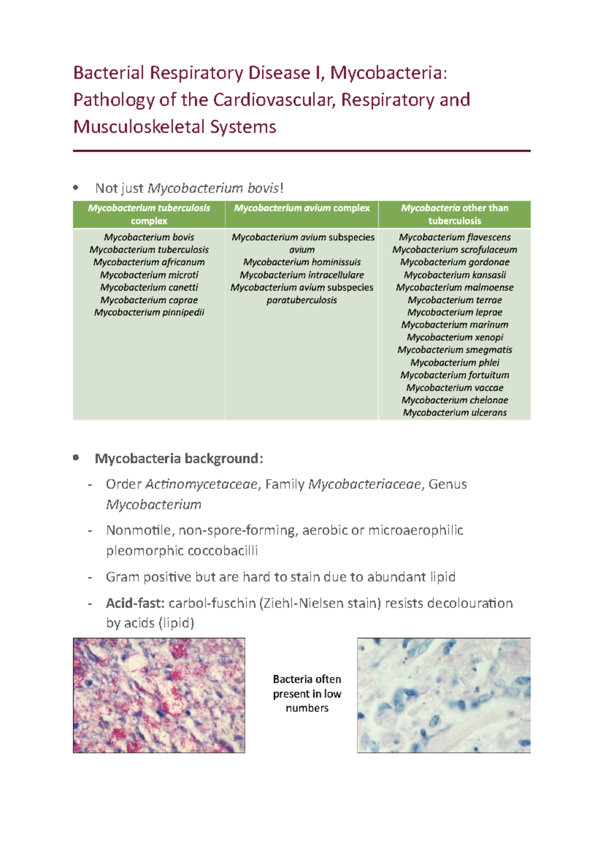 Bacterial Respiratory Disease I Mycobacteria Pcrms - Bacterial ...