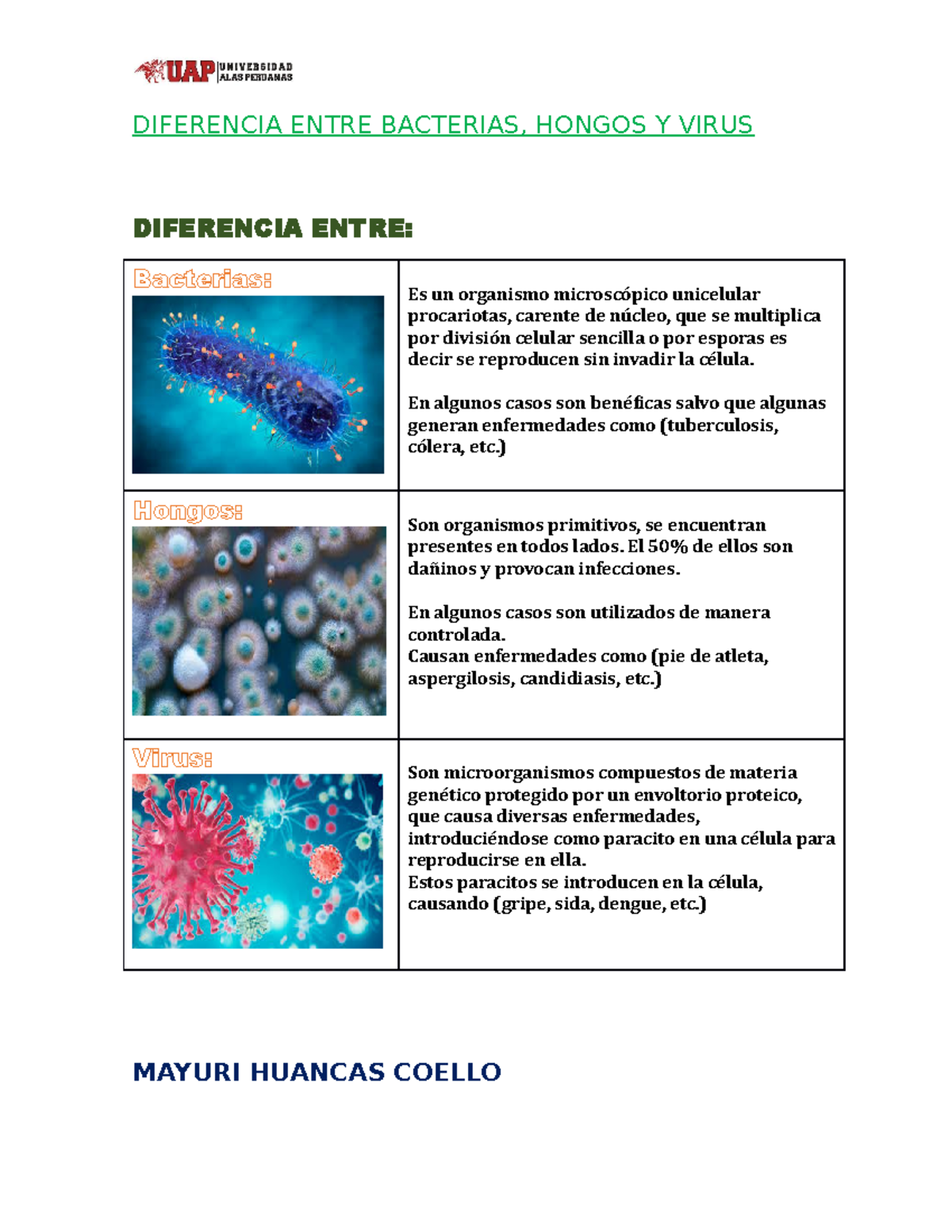 Diferencia Entre Bacterias, Hongos Y Virus (mayuri huancas coello ...