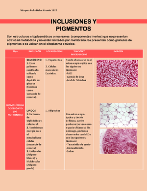 Tabla de Inclusiones histologicas - Tipo INCLUSIÓN LOCALIZACIÓN TINCIÓN ...