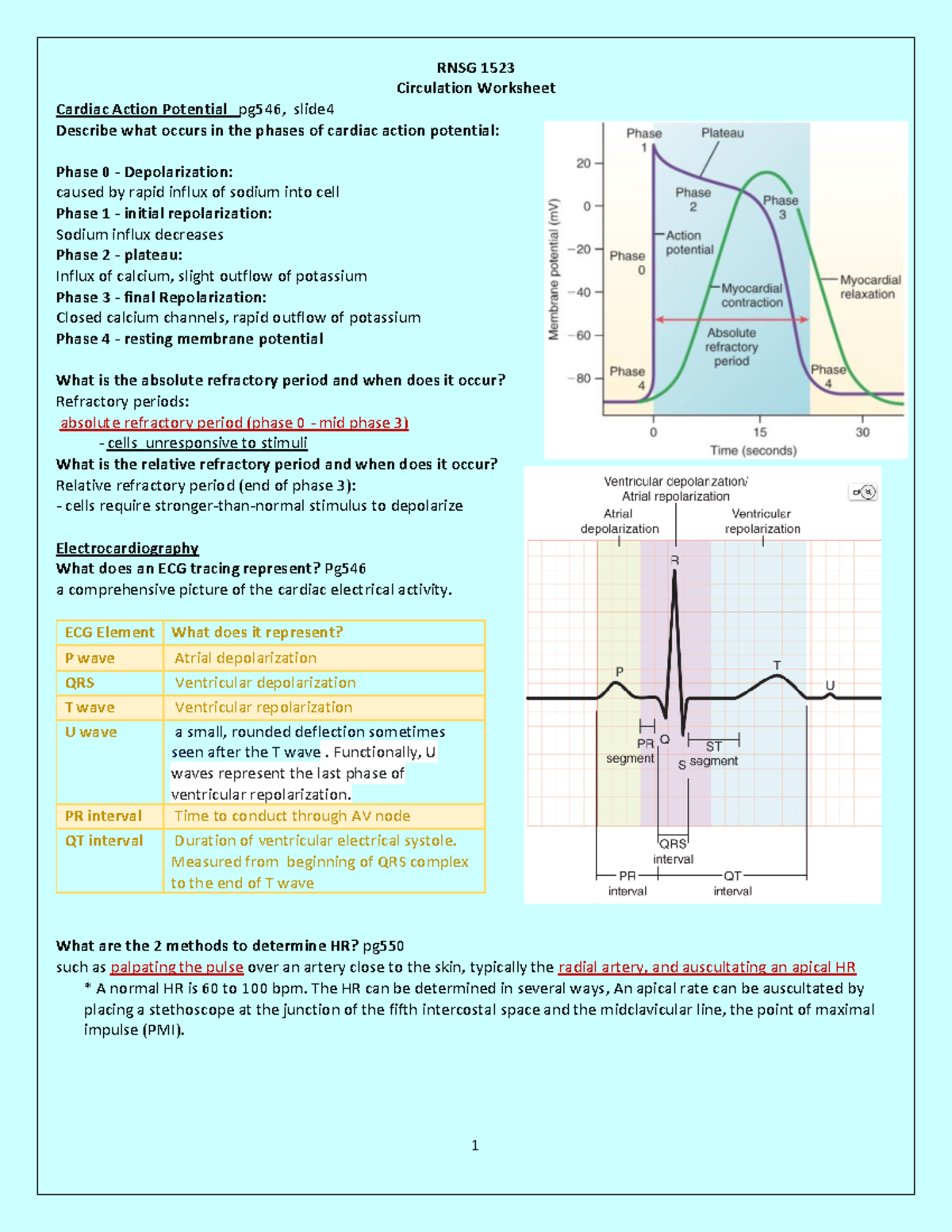 3. Circ Worksheet with answer key - RNSG 1523 Circulation Worksheet ...
