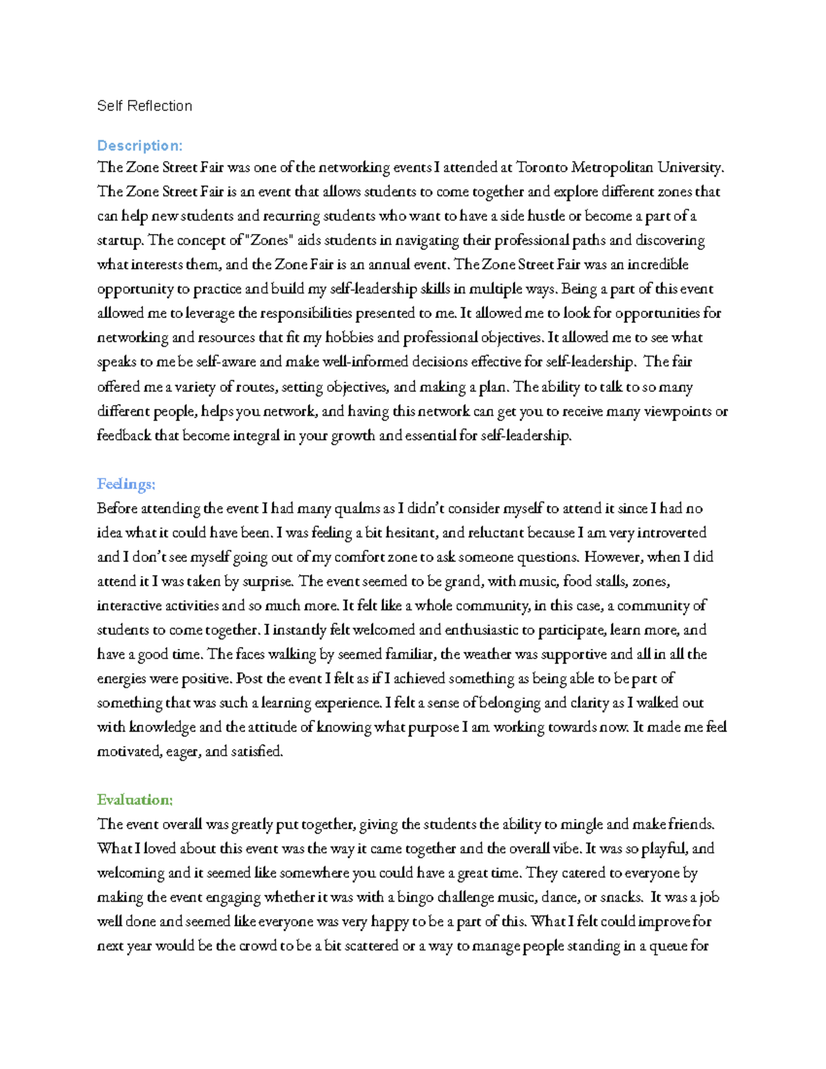 Reflection - Self Reflection Description: The Zone Street Fair was one ...