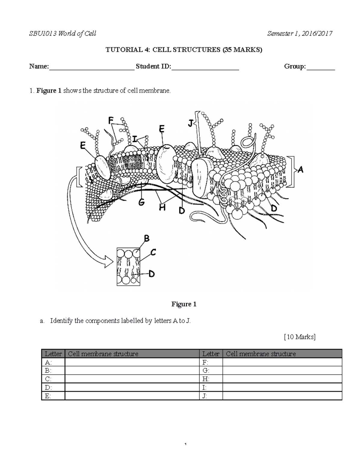 Tutorial 4 ( Questions) - SBU1013 World of Cell Semester 1, 2016 ...