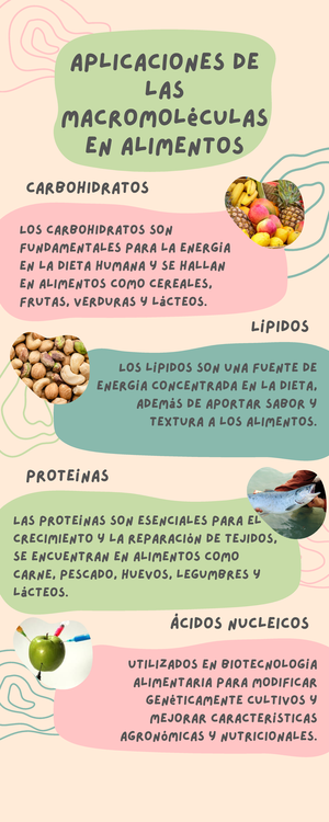 Macromoleculas - Evidencia 3 - Quimica de macromoleculas - 1 ...