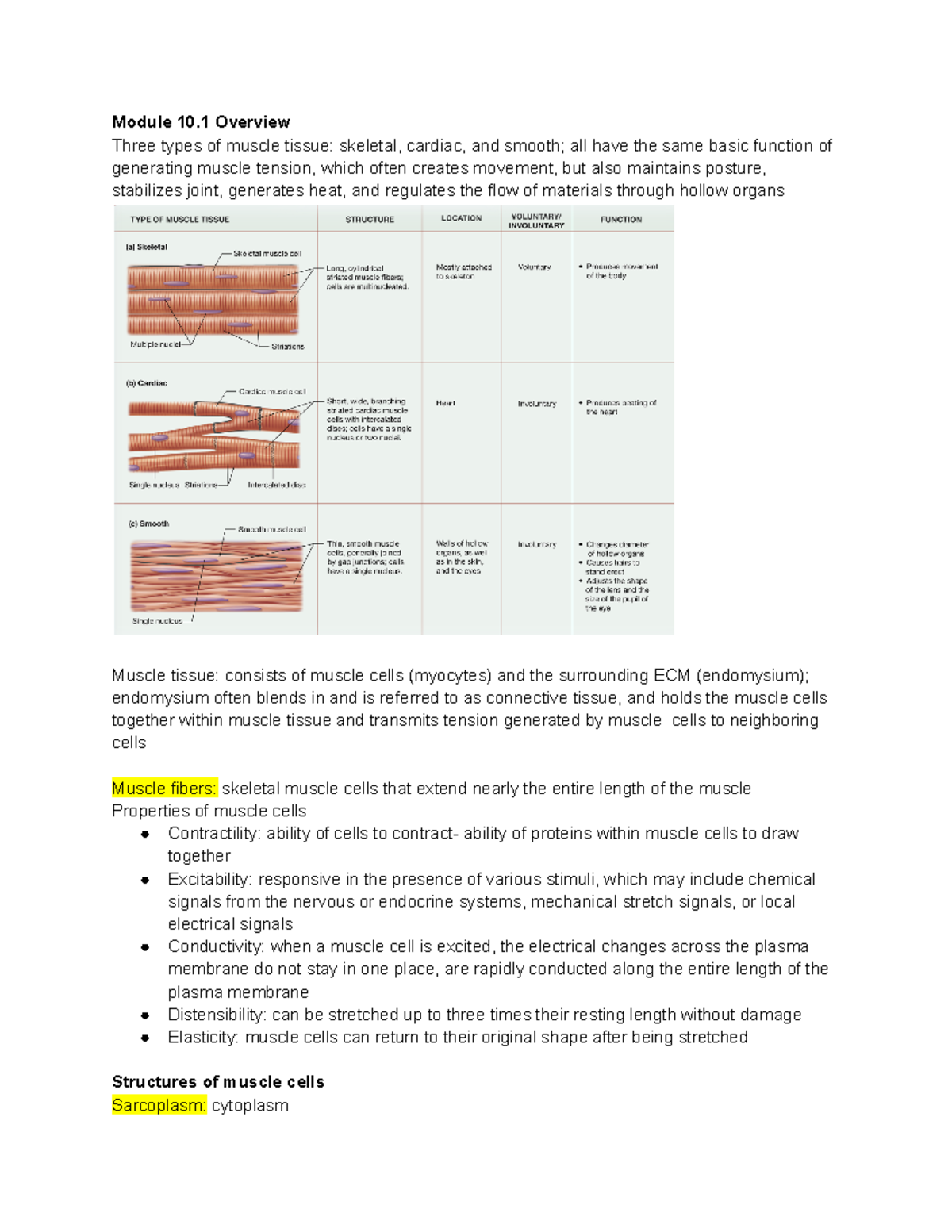 Chapter 10 Muscle Tissue and Physiology - Module 10 Overview Three ...