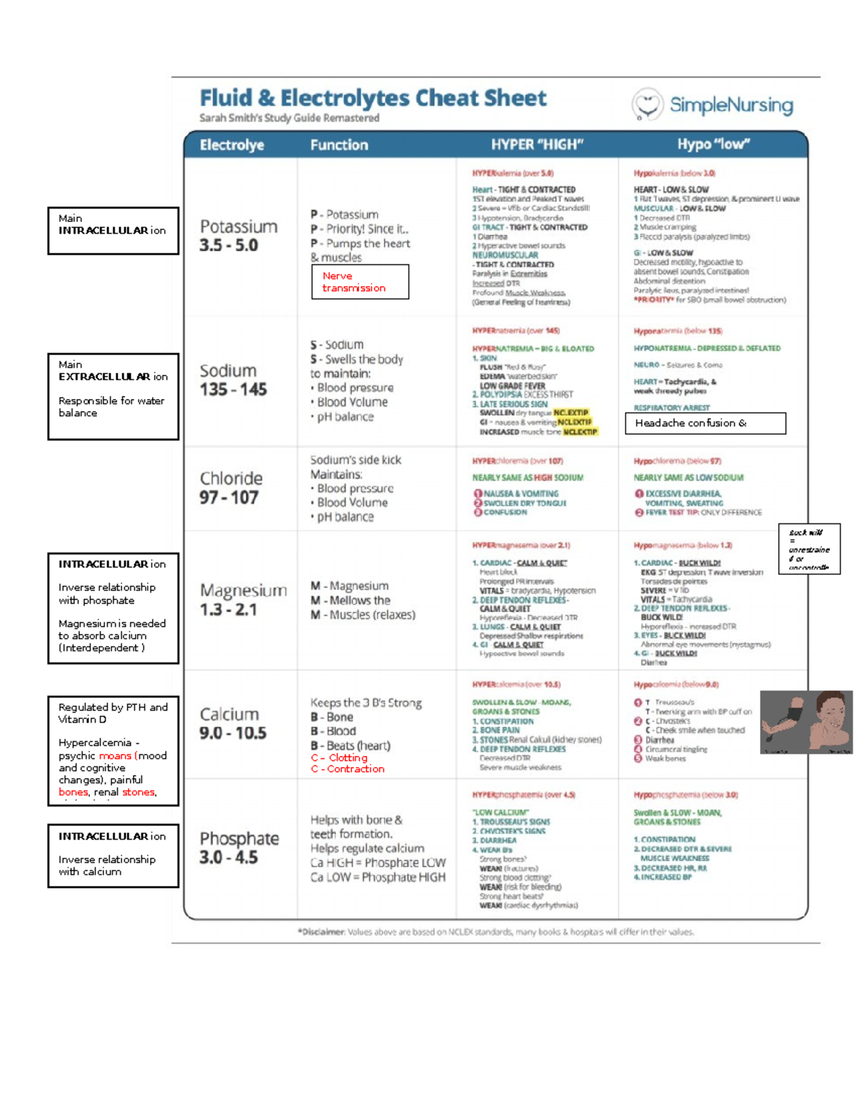 Electrolyte Cheat Sheet Adapted Dg 06 04 2024 1540 Main Intracellular