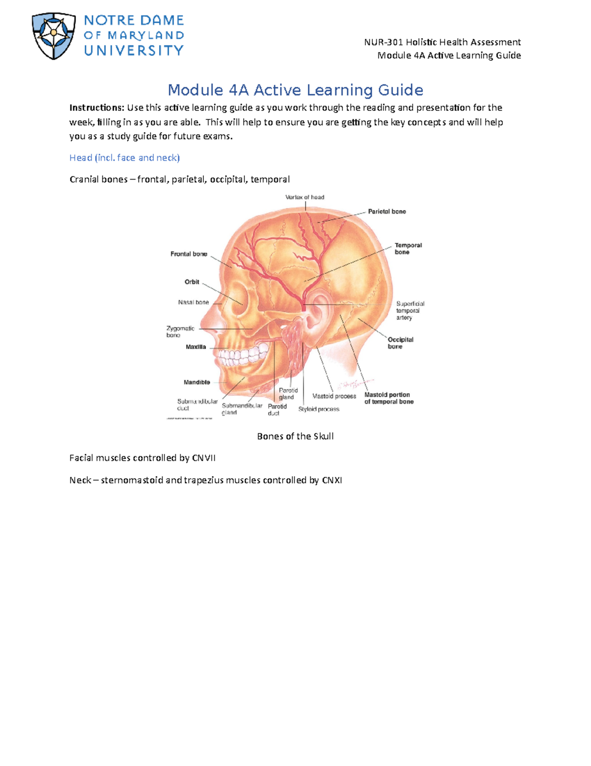 Module 4a Active Learning Guide - Module 4A Active Learning Guide Module 4A Active Learning ...