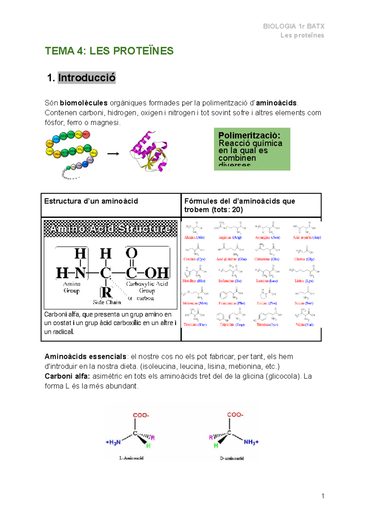 T 4 Les Proteïnes Bioquim Les Proteïnes Tema 4 Les ProteÏnes 1ó