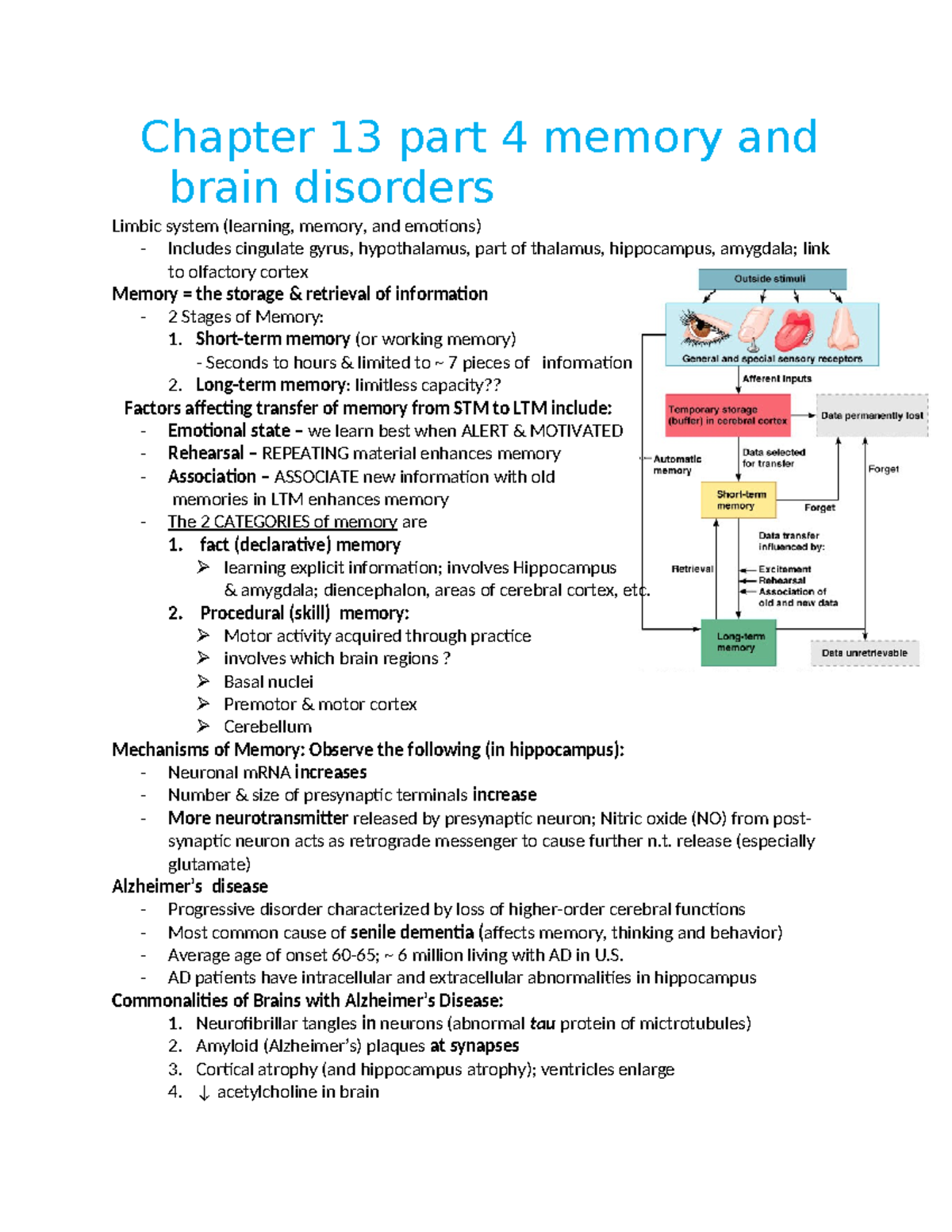 Chapter 13 part 4 - notes - Chapter 13 part 4 memory and brain ...