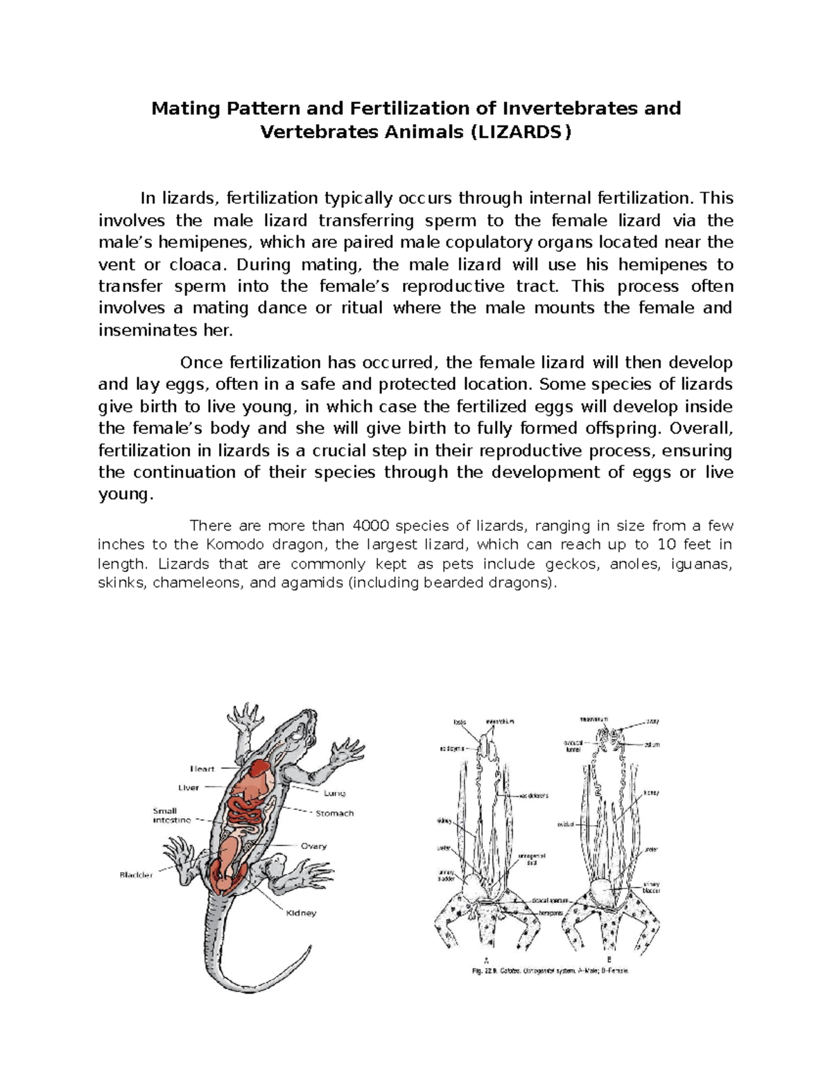 Mating Pattern and Fertilization of Invertebrates and Vertebrates ...