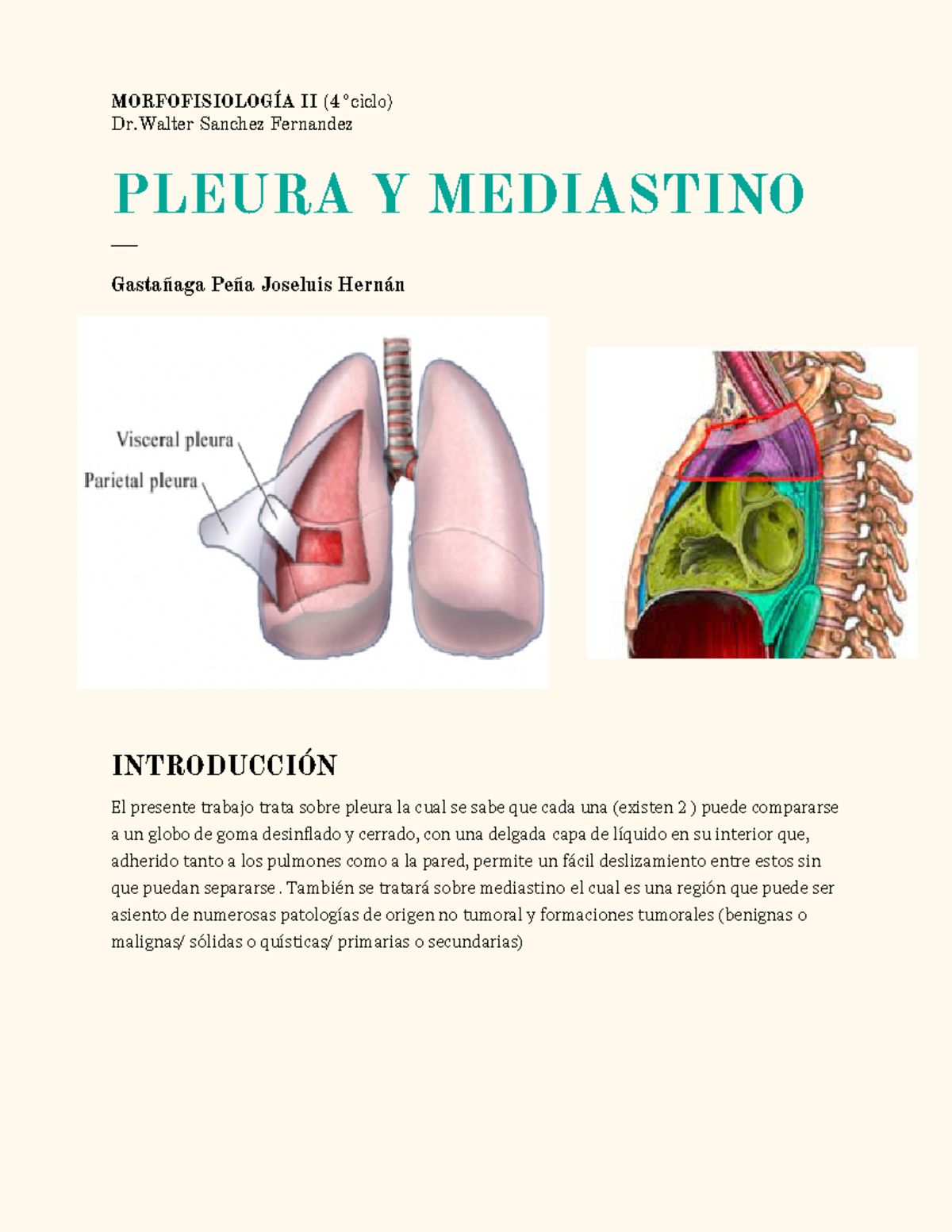 Pleura y mediastino - MORFOFISIOLOGÍA II (4°ciclo) Dr Sanchez Fernandez PLEURA Y MEDIASTINO ...