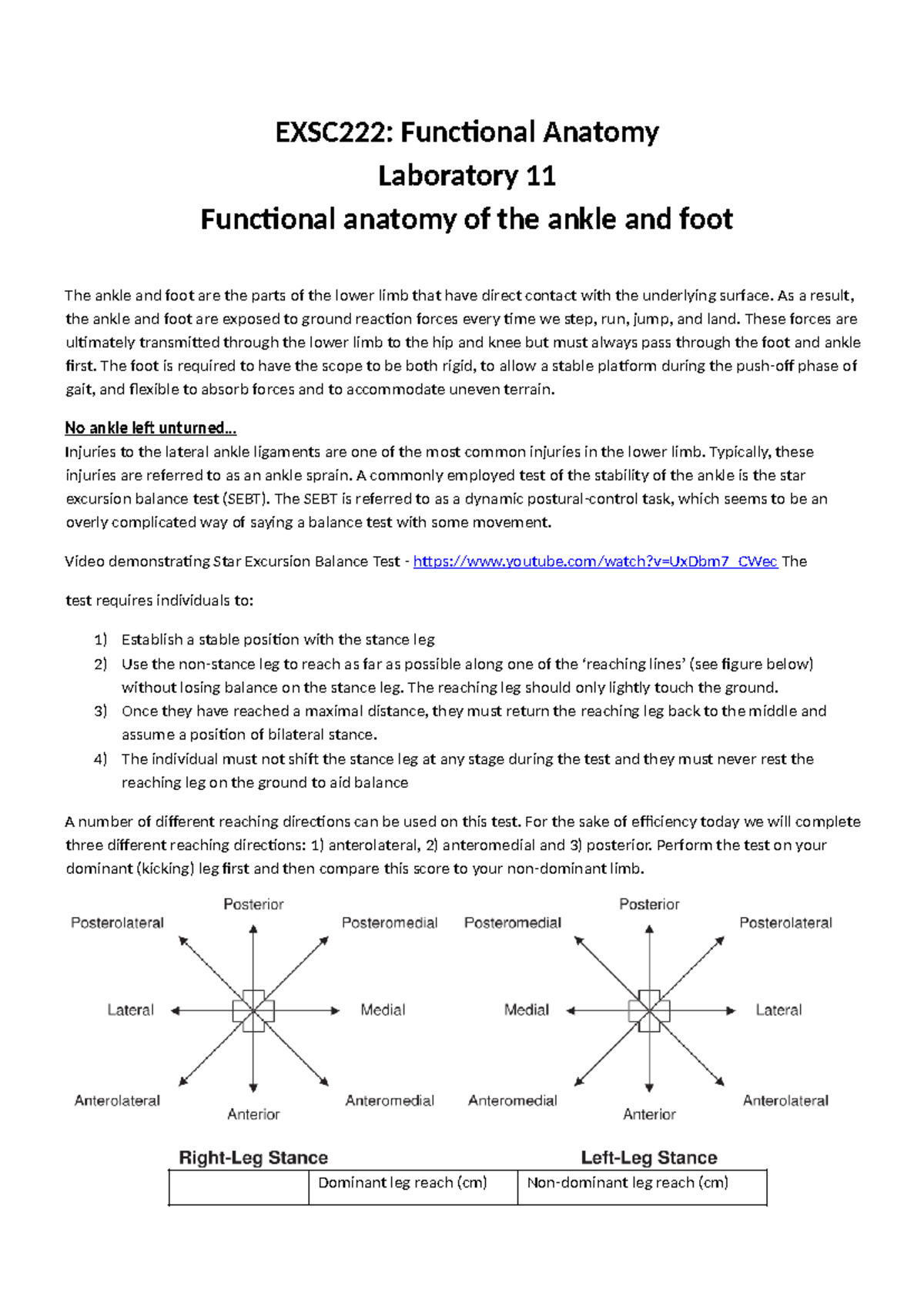 EXSC222 Lab 11 - Functional anatomy of the ankle and foot - EXSC222 ...