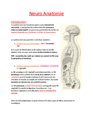 PACK PASS Partie 2 - SN - NEURO - LE SYSTEME NERVEUX LE SYSTEME NERVEUX ...