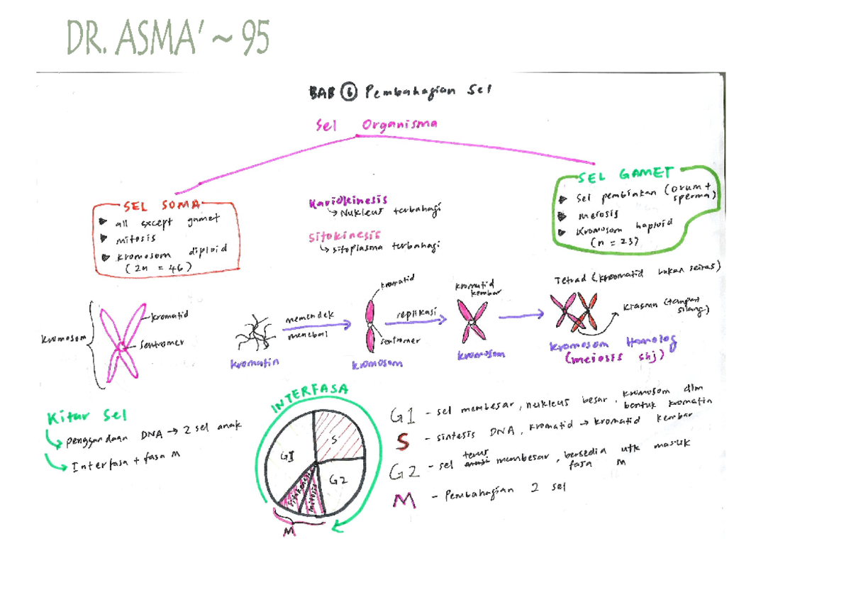 BIO F4 KSSM BAB 6 - bio - Fizik Dan science - Credit to CIKGU SYAHRIL ...