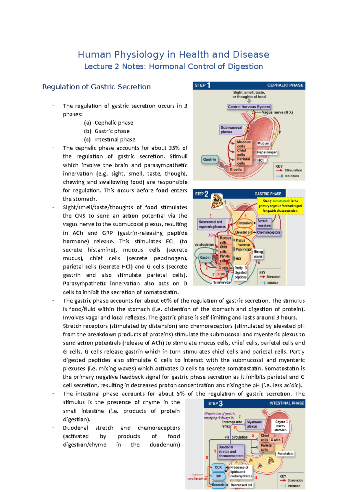 Lecture 2 Notes (Regulation of Gastric and SI Secretions) - Human ...