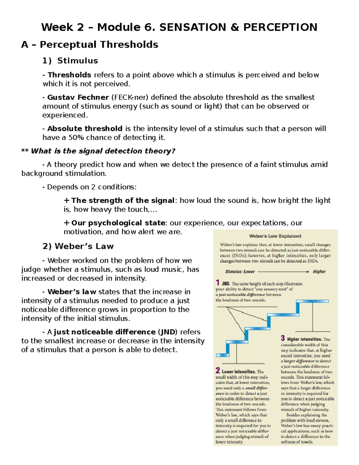 Class 2 Module 6 Sensation & Perception - Week 2 – Module 6. SENSATION & PERCEPTION A – - Studocu