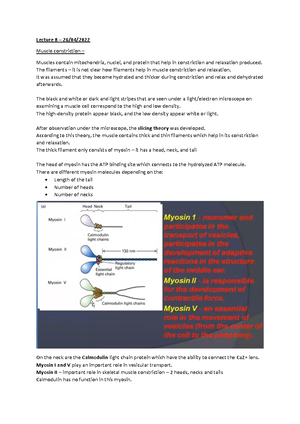 Lower limb - clinical anatomy - LOWER LIMB – Consists of the gluteus ...