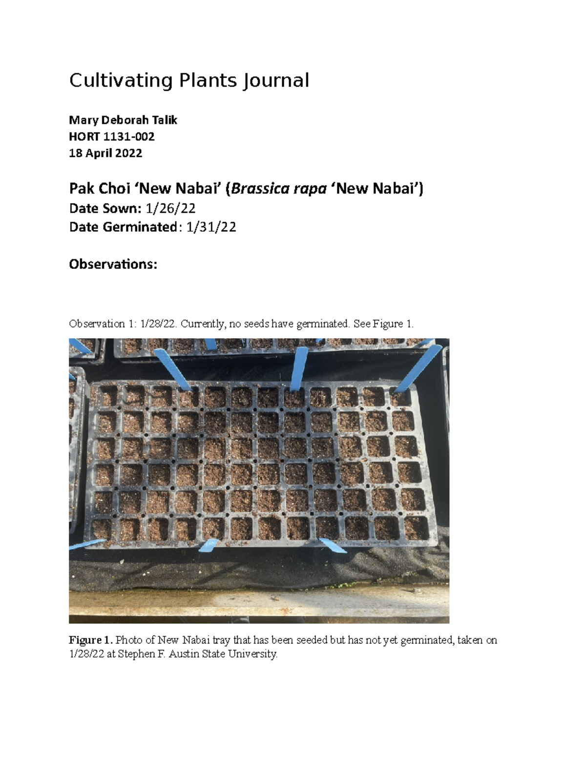 Cultivating Plants Journal - Currently, no seeds have germinated. See ...