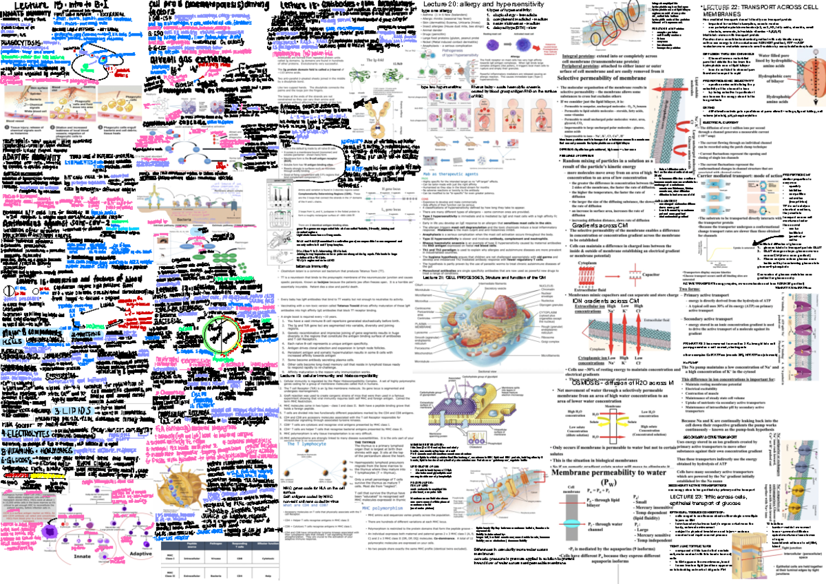 107 cheatsheet exam - Biology for Biomedical Science: Cellular ...