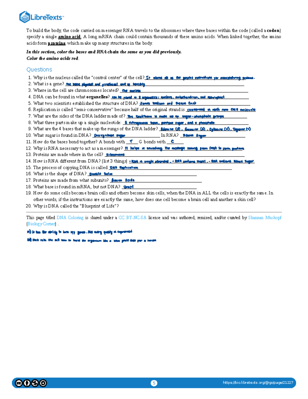 DNA Colouring Worksheets - 5 bio.libretexts/@go/page/ 21227 To build ...
