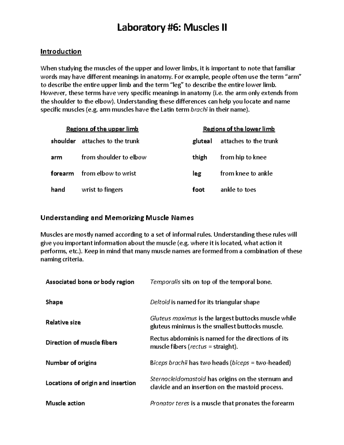 Laboratory 06 - Muscle II - Laboratory #6: Muscles II Introduction When ...