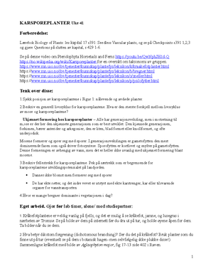 Rapport dyrefysiologi - BIO-2017-1 Økologi - Studocu