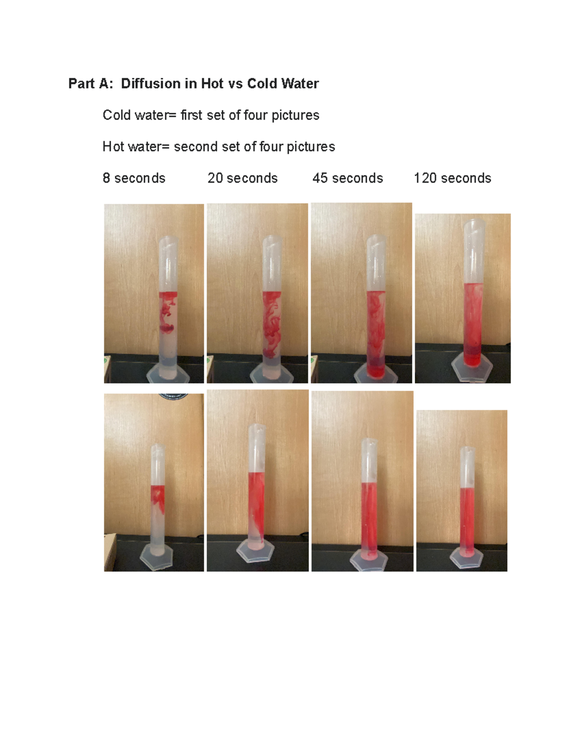 Physics lab 5 - Part A: Diffusion in Hot vs Cold Water Cold water ...