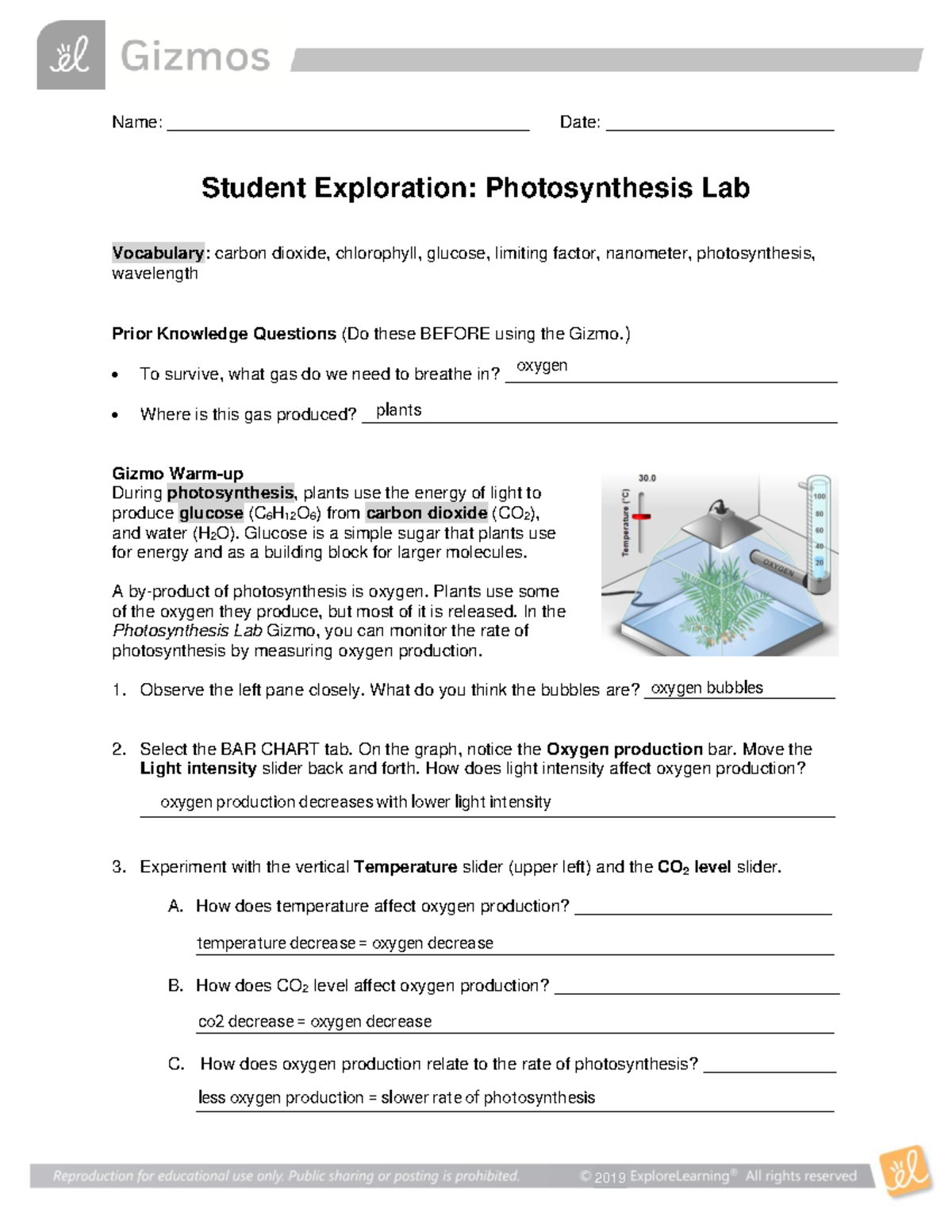 Kami Export - Photosynthesis Lab SE - Name ...
