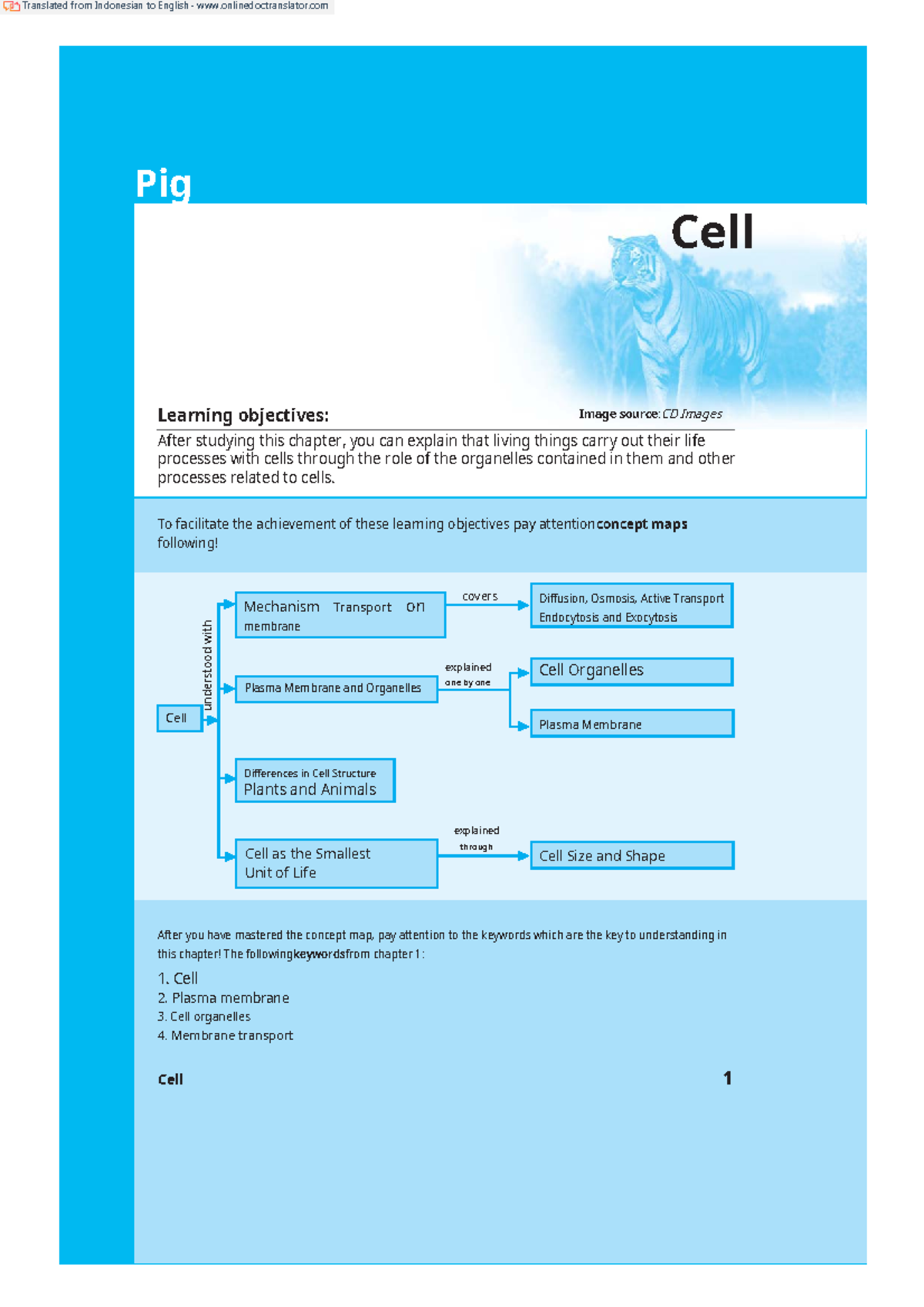 The Cell as the Smallest Unit of Life - Pig Cell Learning objectives ...