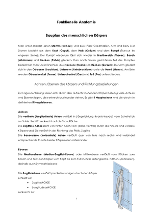 Respirationstrakt - Respirationstrakt Aufbau Oberer und unterer ...