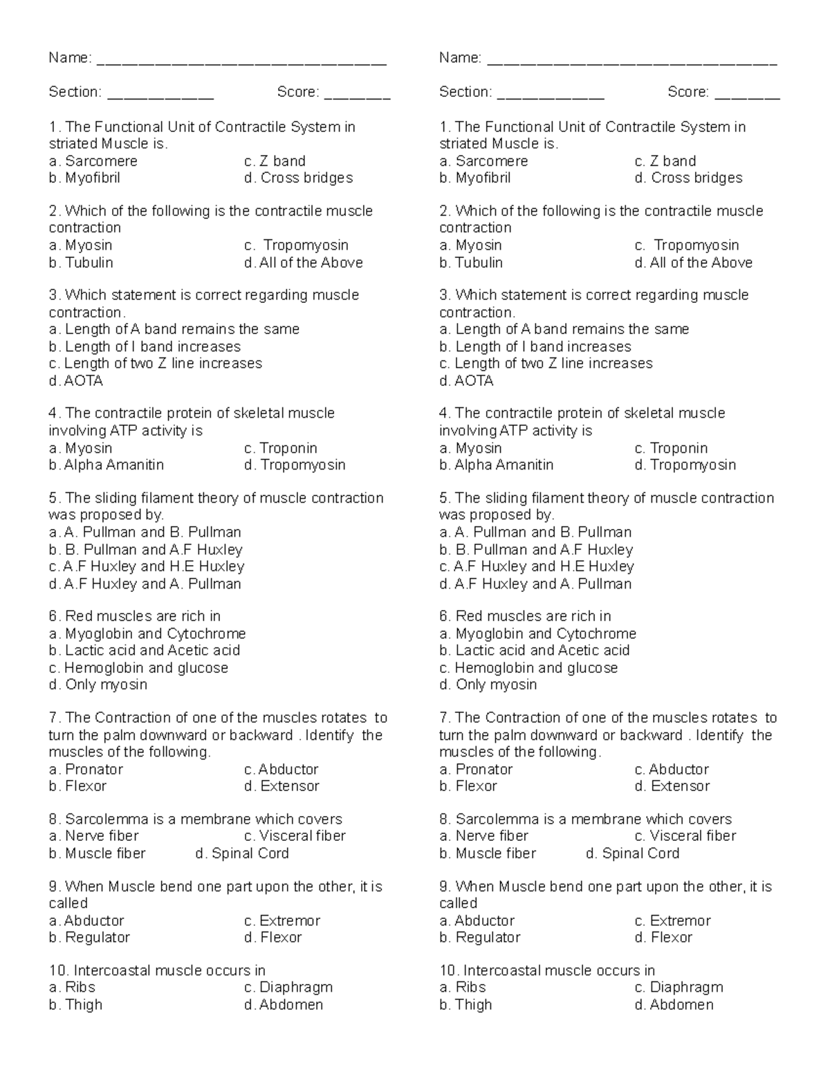 Quiz-Muscular System - quiz - Name ...