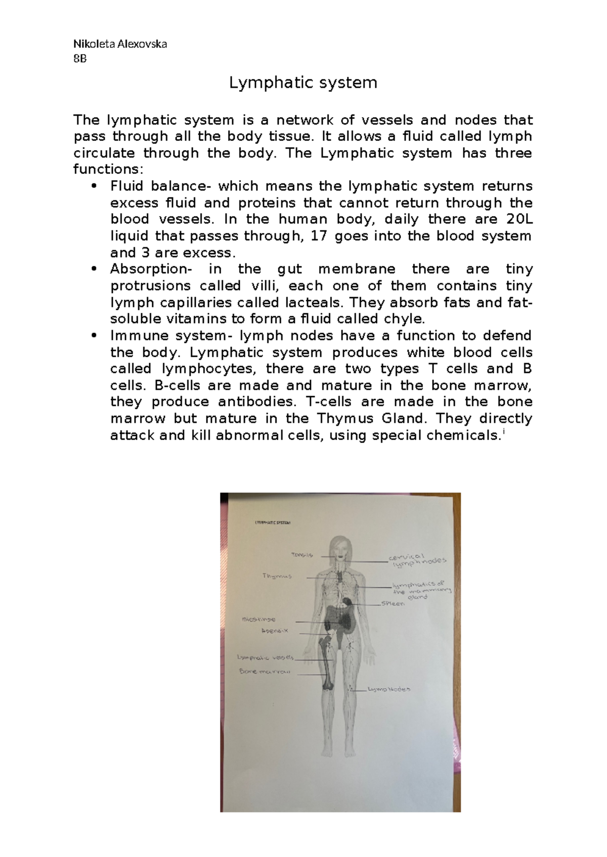 Lymphatic system - It allows a fluid called lymph circulate through the ...