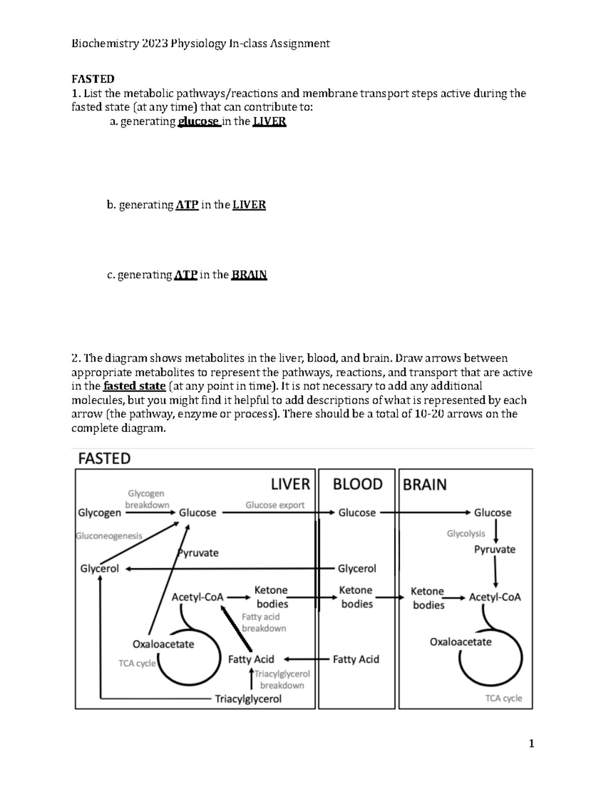 Biochem Assn 4-20 - In Class Work Tifft - Biochemistry 2023 Physiology In-class Assignment 1 ...