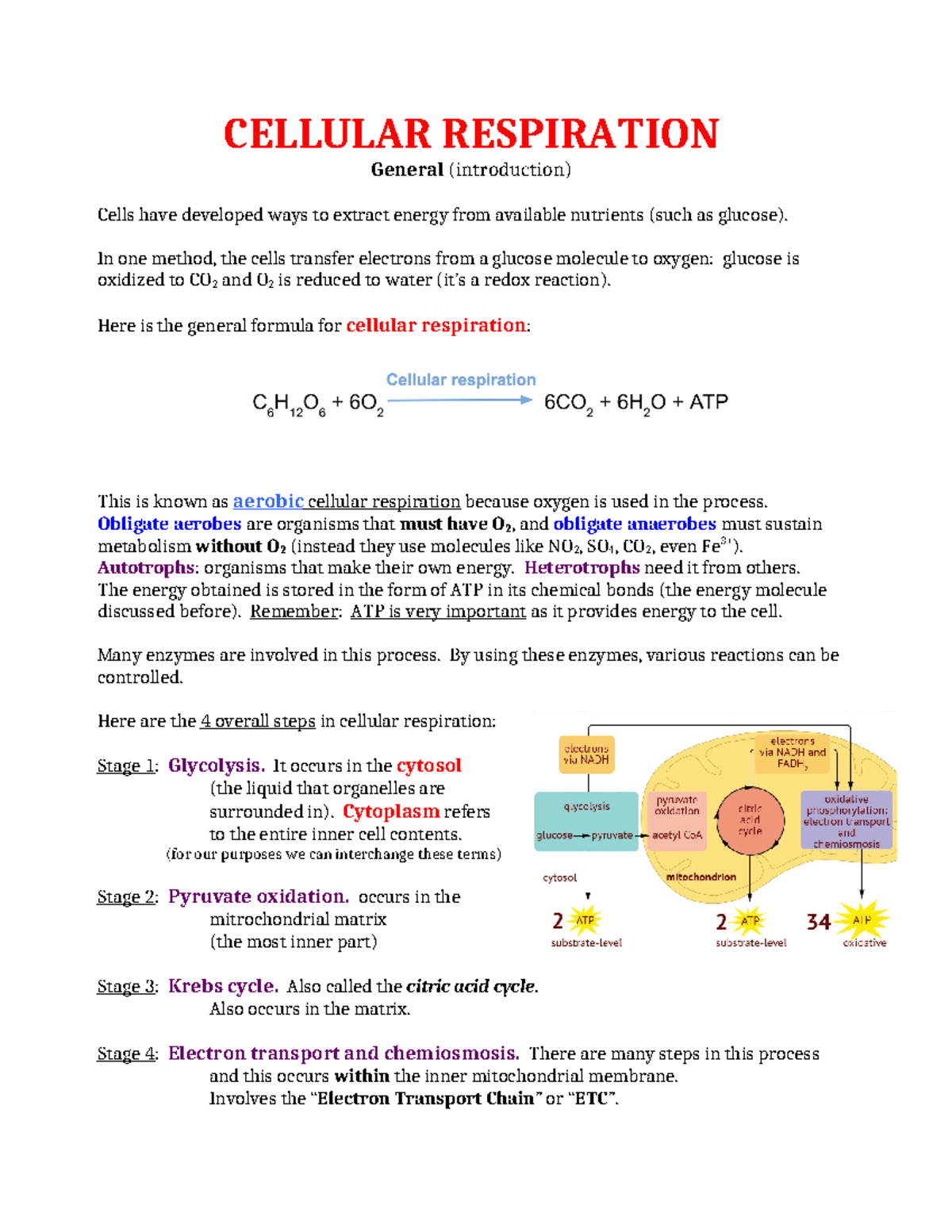 4a. Note 1 - cellular respiration (general intro) - CELLULAR ...