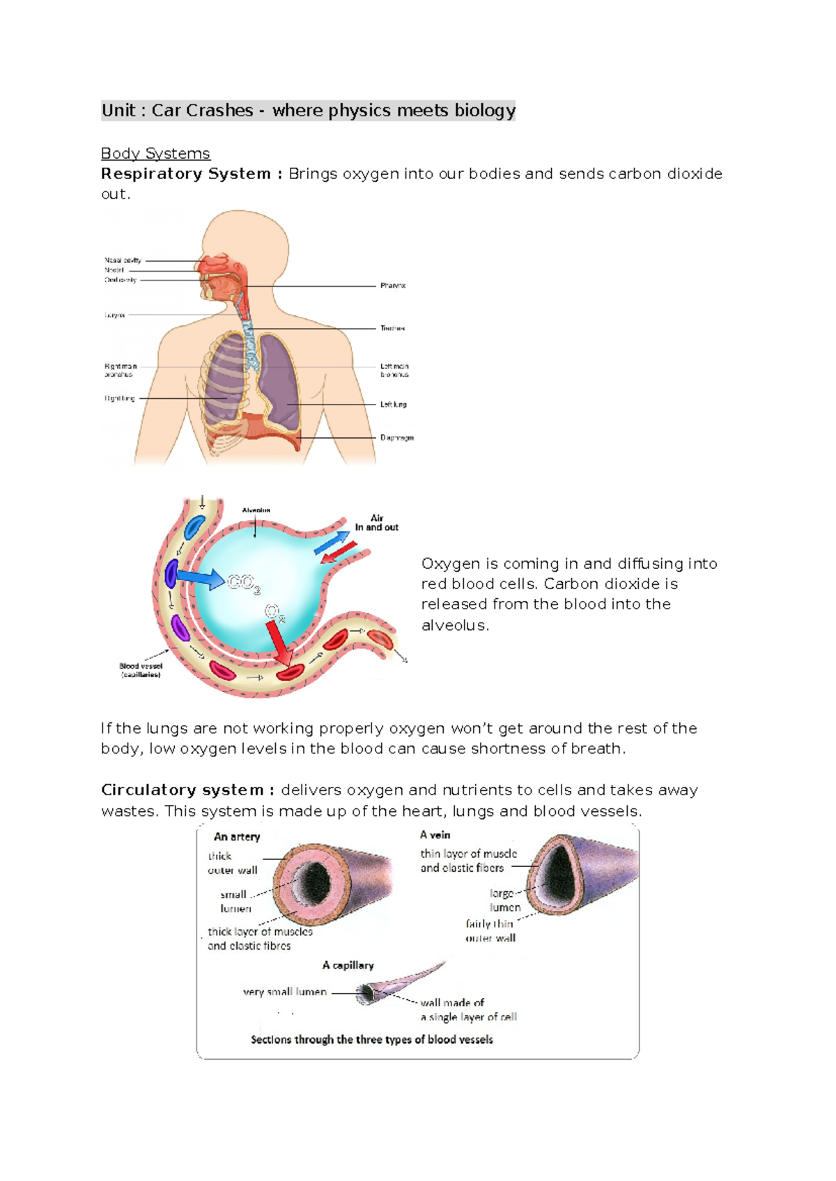 Science yearly - iiii - Unit : Car Crashes - where physics meets ...