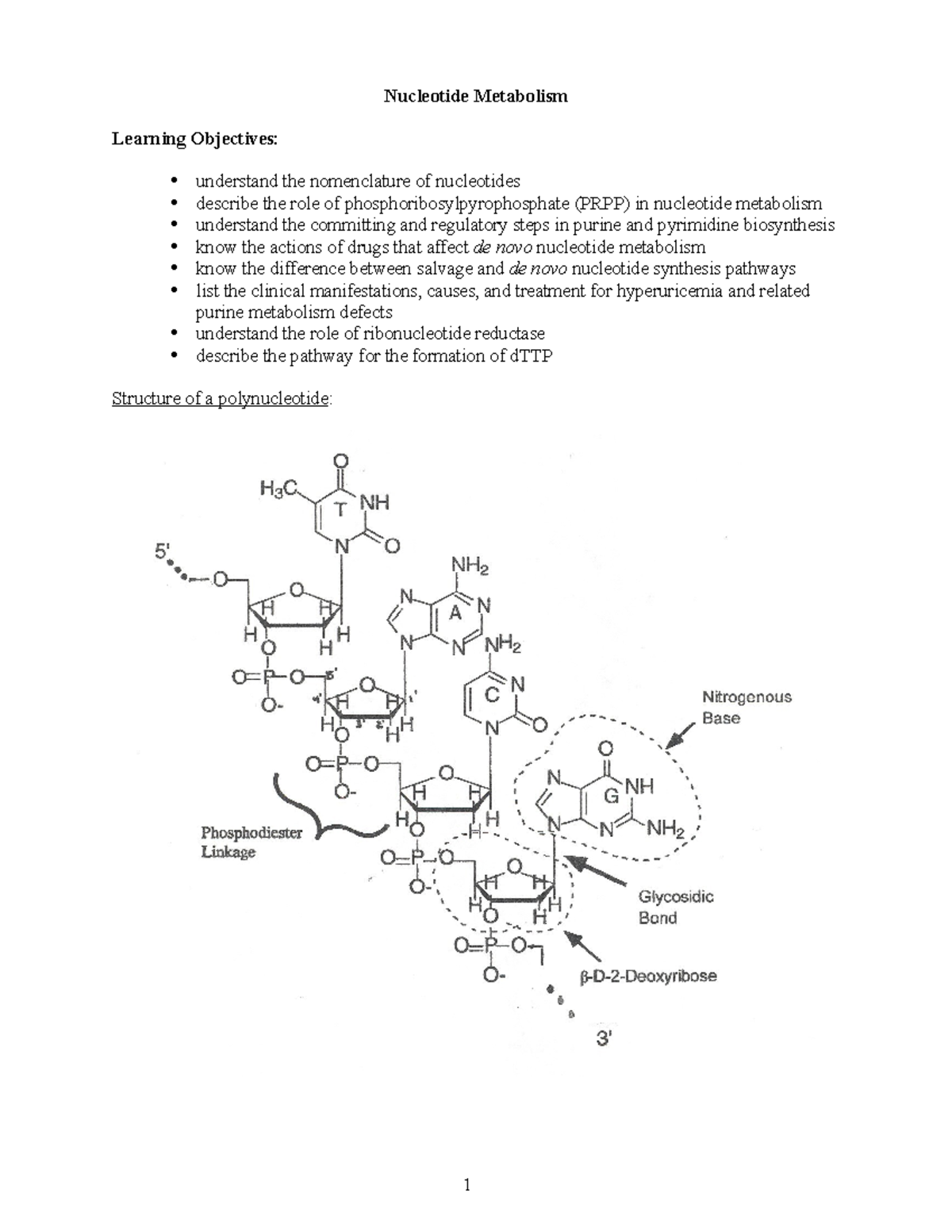 Nucleotide metabolism packet - Nucleotide Metabolism Learning Objectives: understand the - Studocu