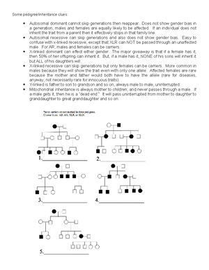 BIOL 304 Genetics Exam 2 Genetic Code Peyton Spring 2022 - BIOL 304 ...