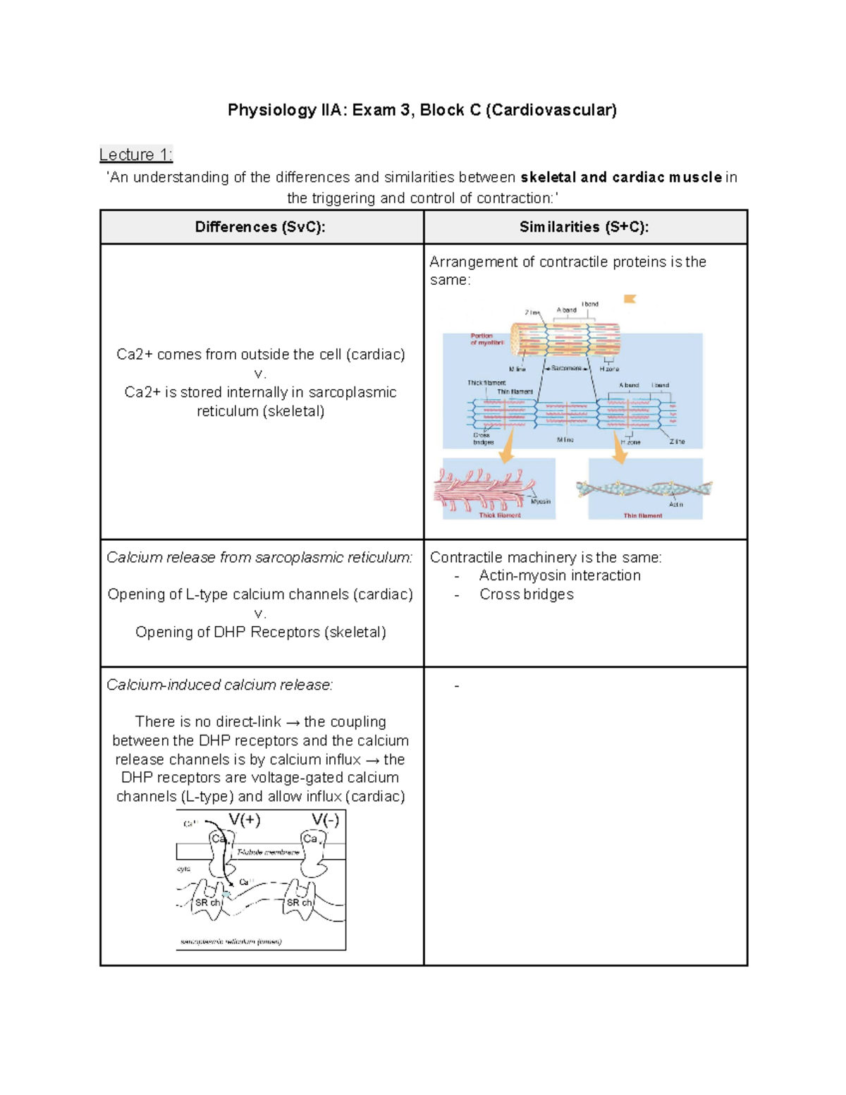 Physiol Exam 3 Cardiovascular System Cheat Sheet 1 - Physiology IIA ...
