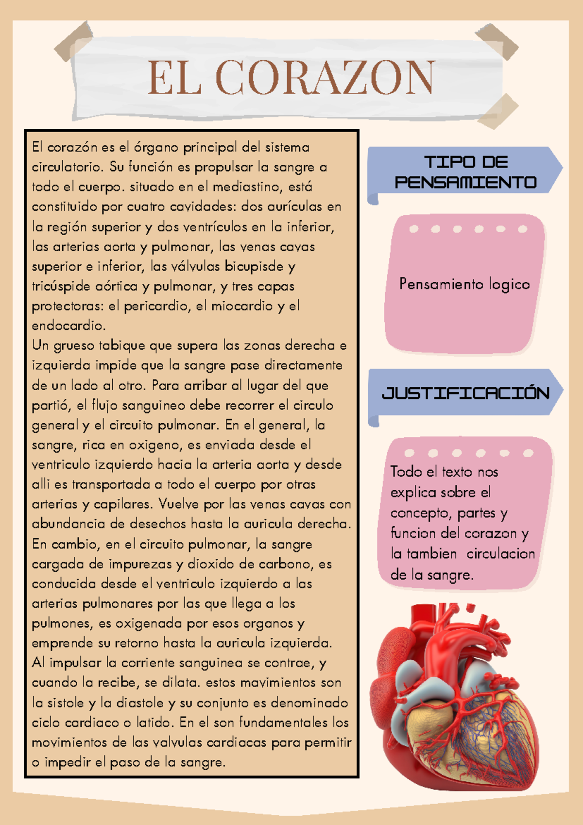 Logico Matematico ( Textos) 1 - El corazón es el órgano principal del ...