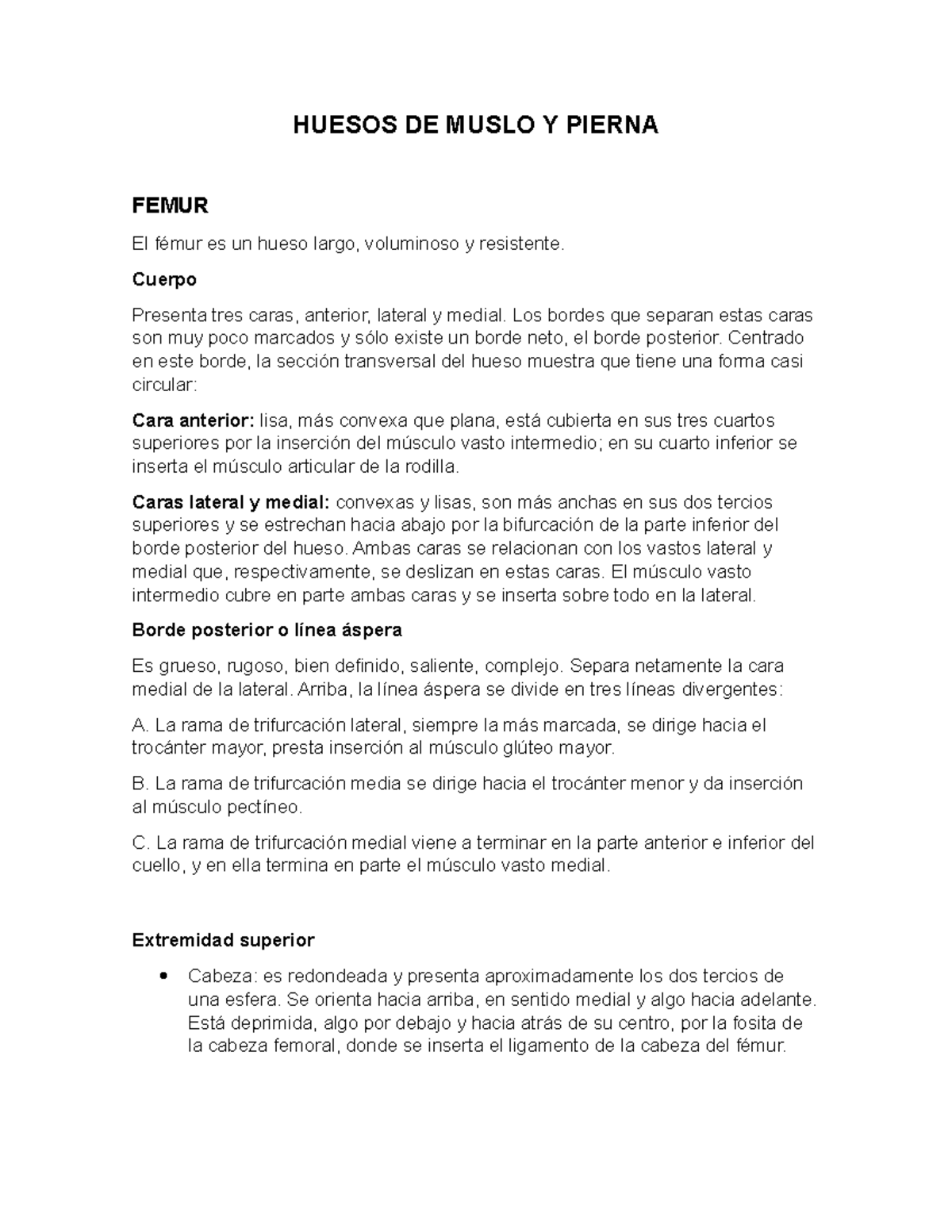 Huesos DE Muslo Y Pierna - Anatomia humana I - UVM - Studocu