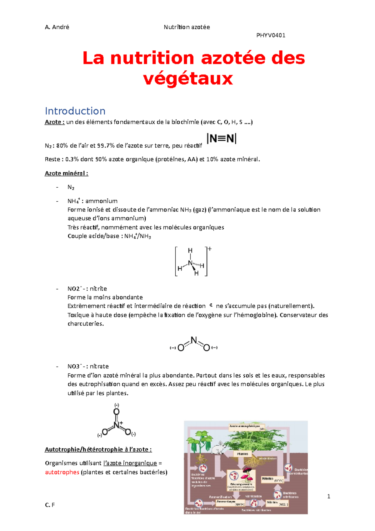 CM1 La nutriton azotée des végétaux - PHYV La nutrition azotée des ...