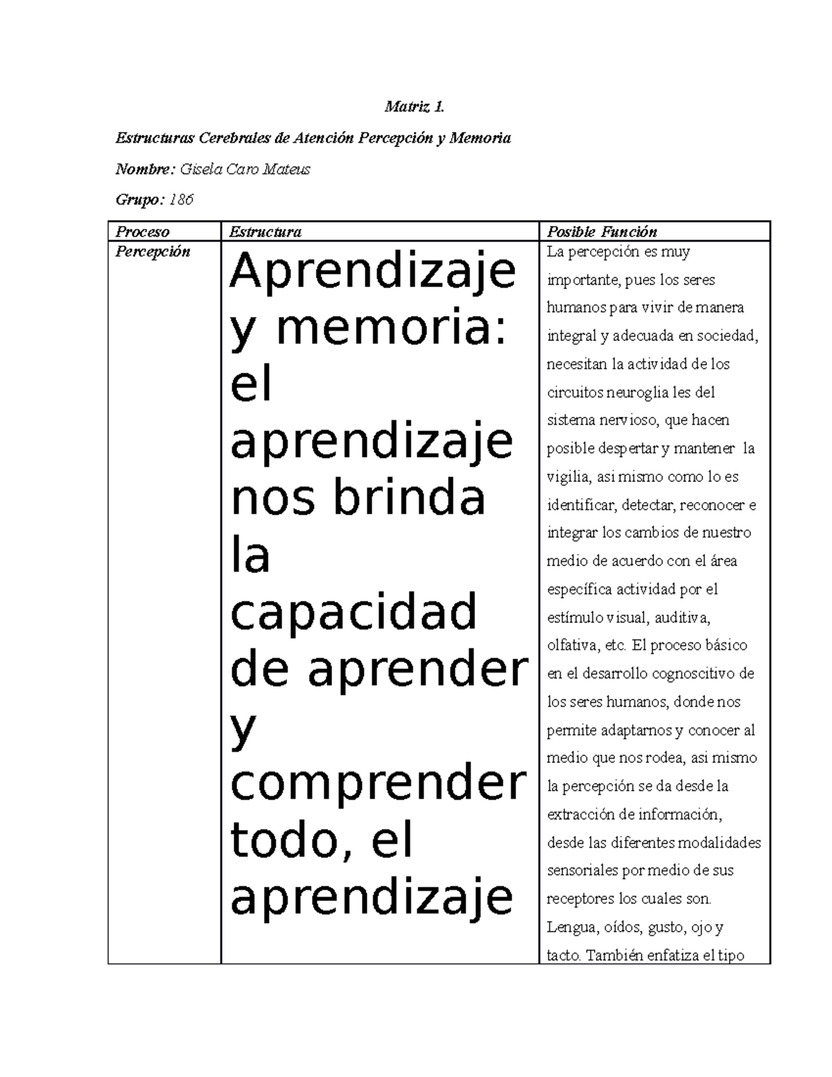 Matriz 1. Gisela caro - percepciòn, atenciòn y memoria ...