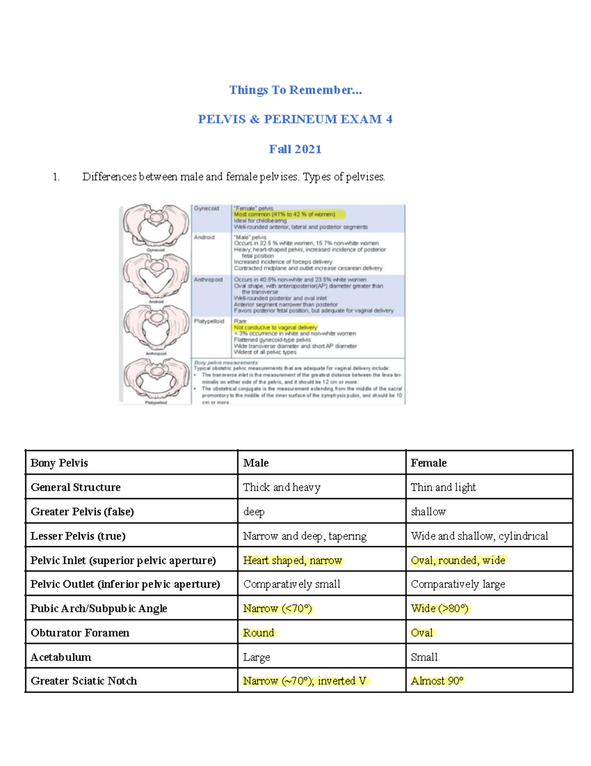 Anatomy Exam 4 Study Guide - Things To Remember... PELVIS & PERINEUM ...